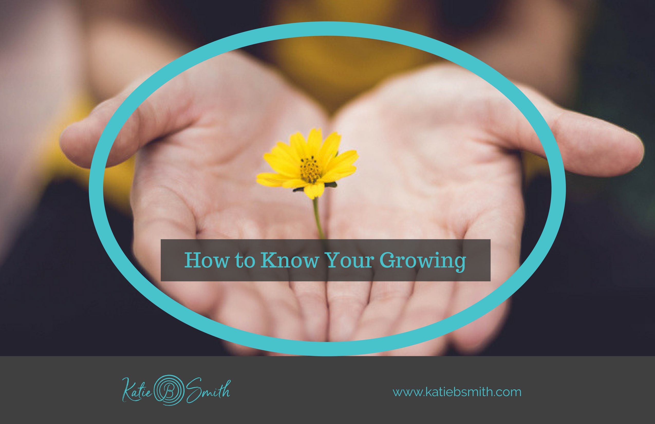 Looking at Growth - , Executive Coaching